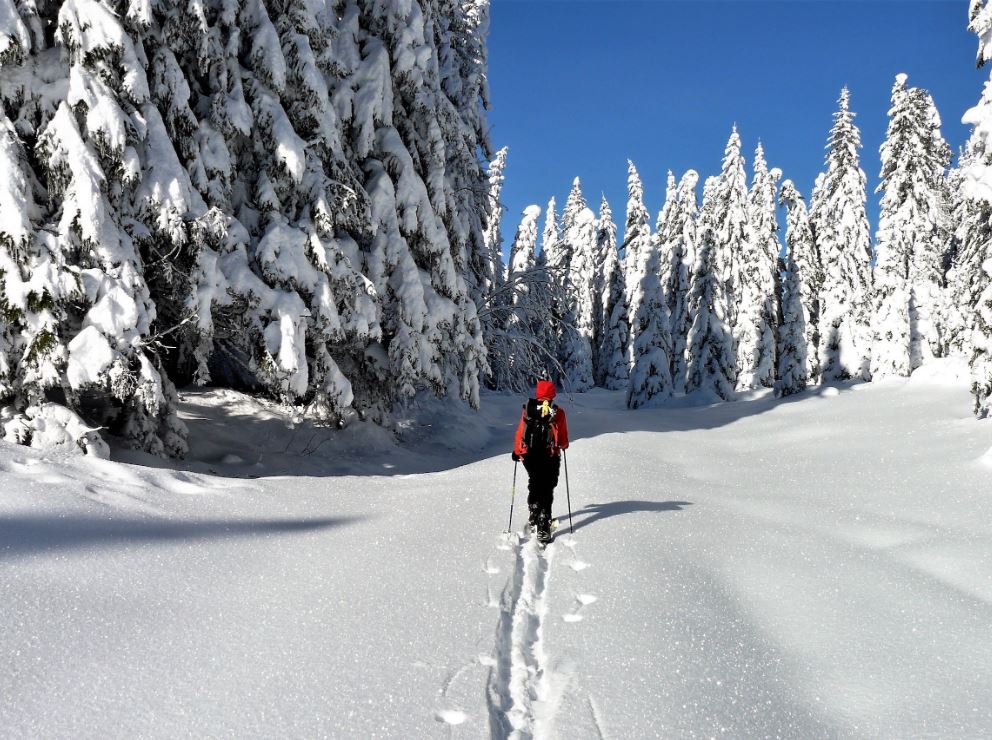 Oltre l'industria della neve, riflessioni del Cai sul futuro della ... Oltre l'industria della neve, riflessioni del Cai sul futuro della ...